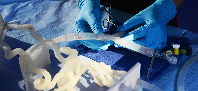 Achieving Realistic Blood Vessel Distensibility with J5 Digital Anatomy ...