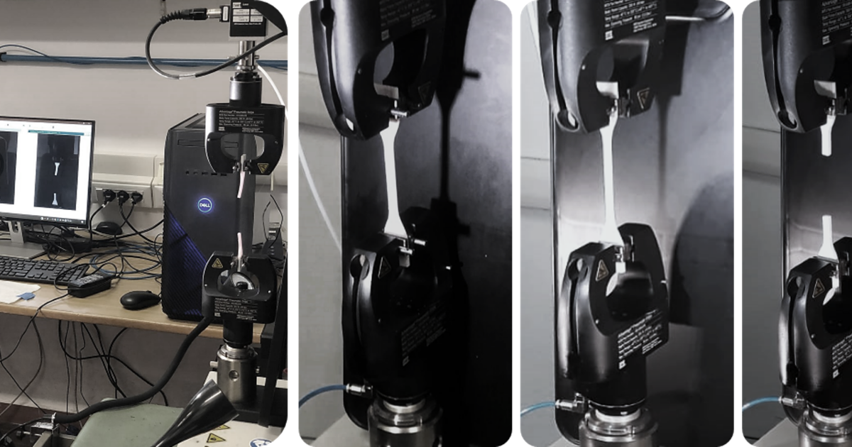 Creating realistic tendon and ligament models using the Digital Anatomy ...