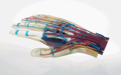 Biomedical Modelling Inc.