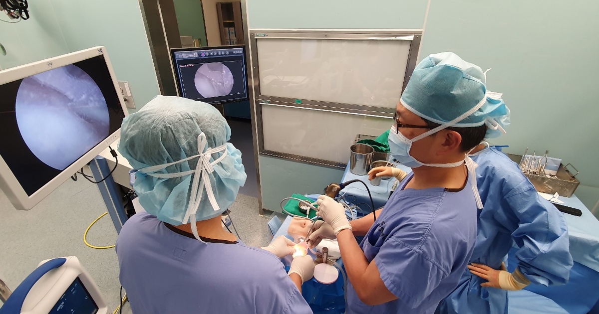 Bringing 2D Medical Images to Life