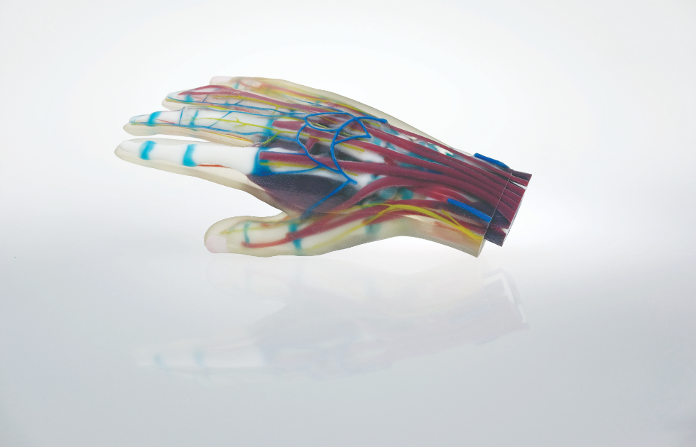 Superior 3D Printed Medical Models