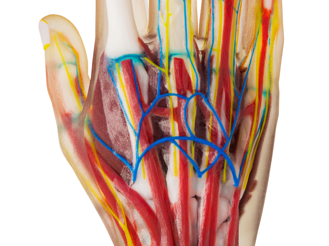 3D Printing Solutions for Medical Innovation - Stratasys