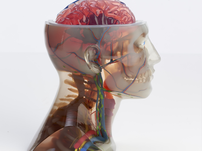 3D Printing Solutions for Medical Innovation - Stratasys
