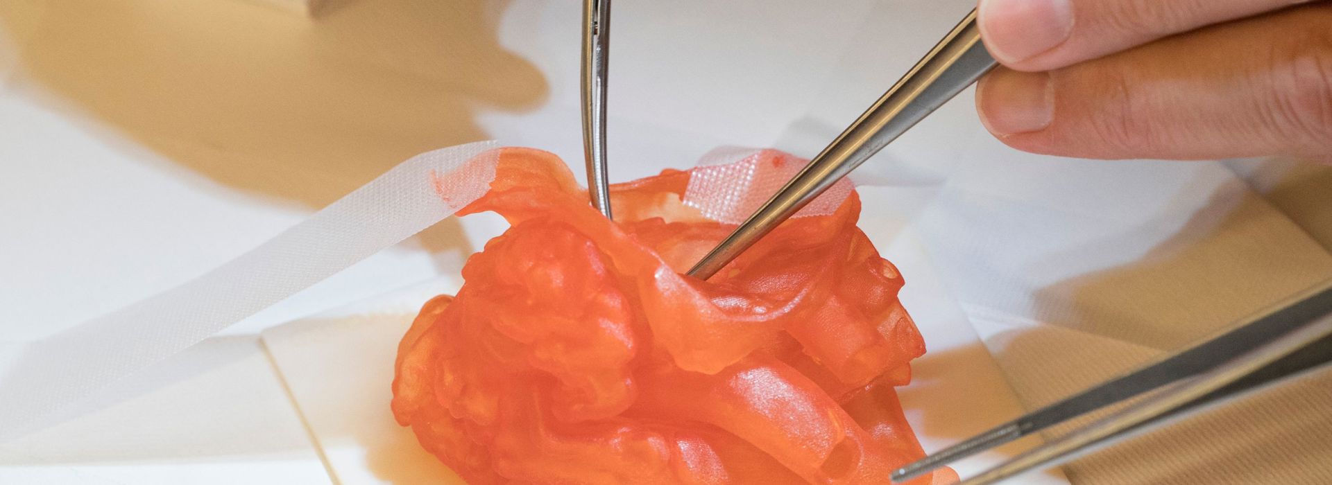 3d Printed Tissue