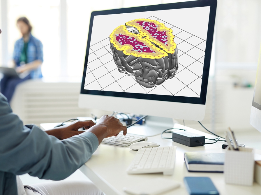 Creating Medical Models with Digital Anatomy Creator - Guide