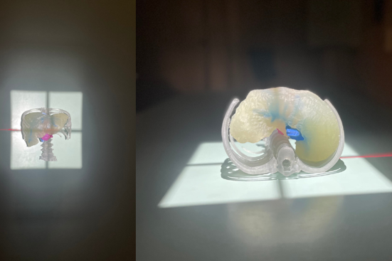 Clarkson College Develops Unique 3D Printing Education Program Powered ...