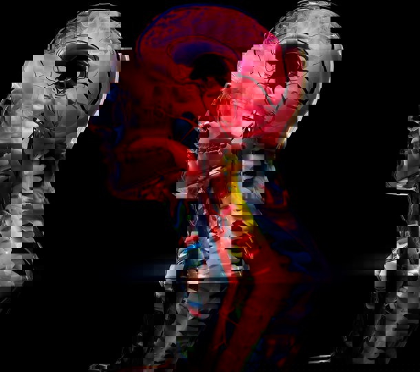 J850 - Digital Anatomy 3D Printer