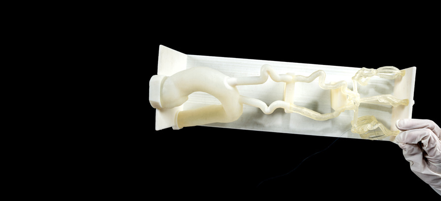 Revolutionizing Anatomical Model Creation with 3D Printing